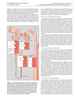Acs0824 Disorders Of Water And Sodium Balance | PDF