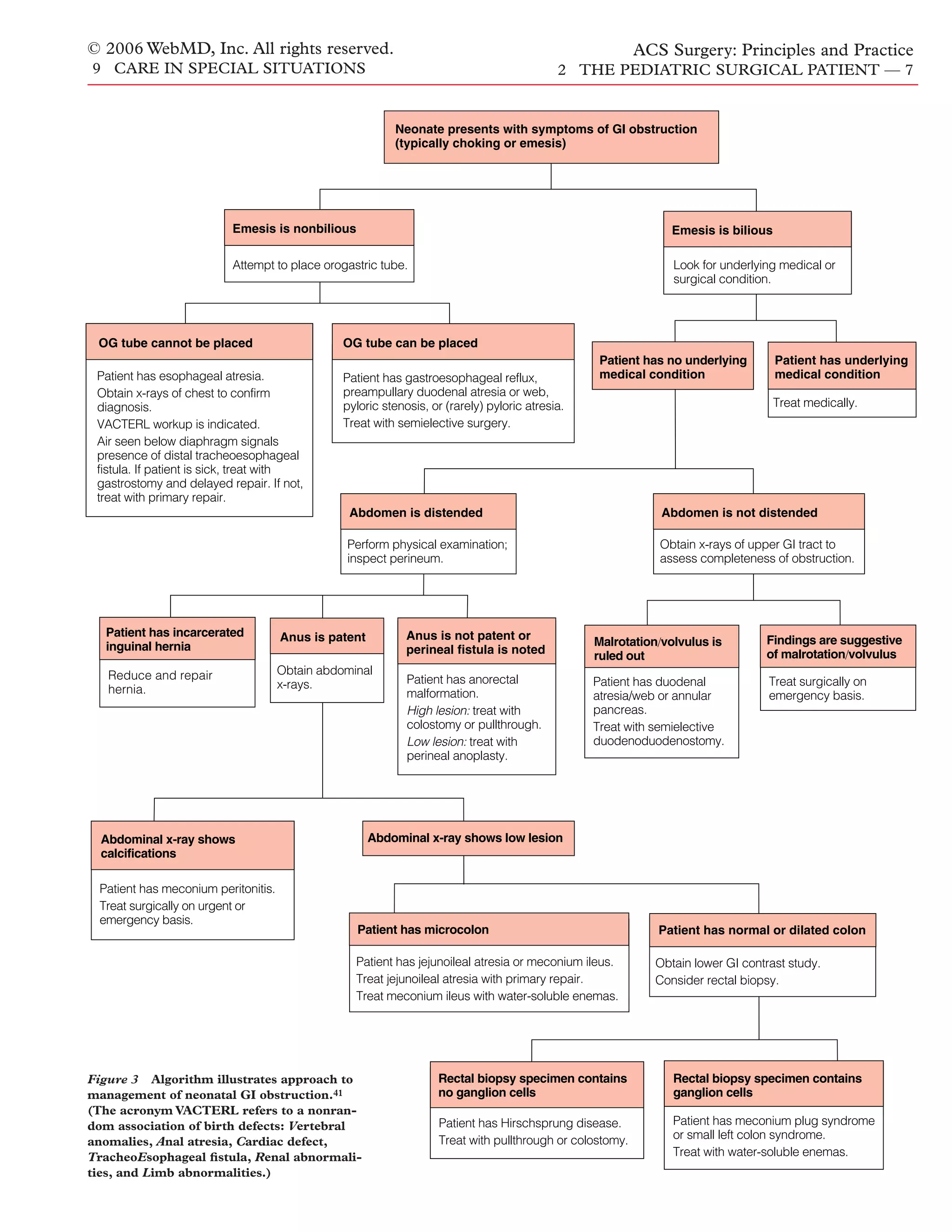 Acs0902 The Pediatric Surgical Patient | PDF