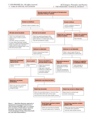 Acs0902 The Pediatric Surgical Patient | PDF