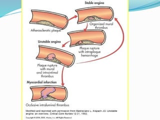 Physical Examination General appearance: Distress? Cyanosis? Pallor ...