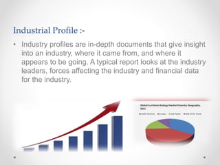 Industrial Productivity ppt | PPTX