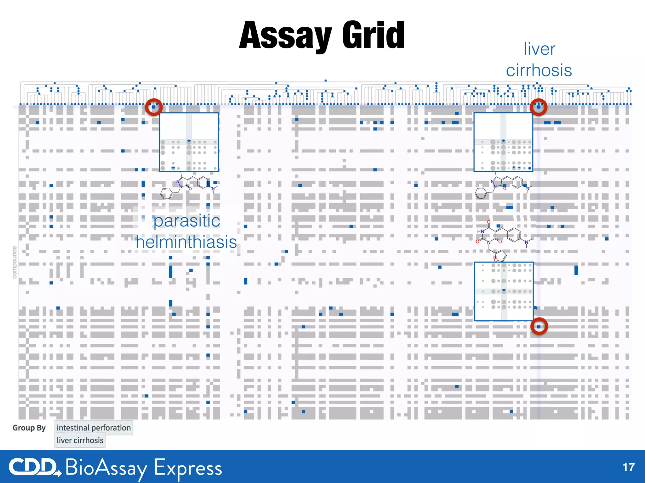 CDD BioAssay Express: Expanding the target dimension: How to visualize ...