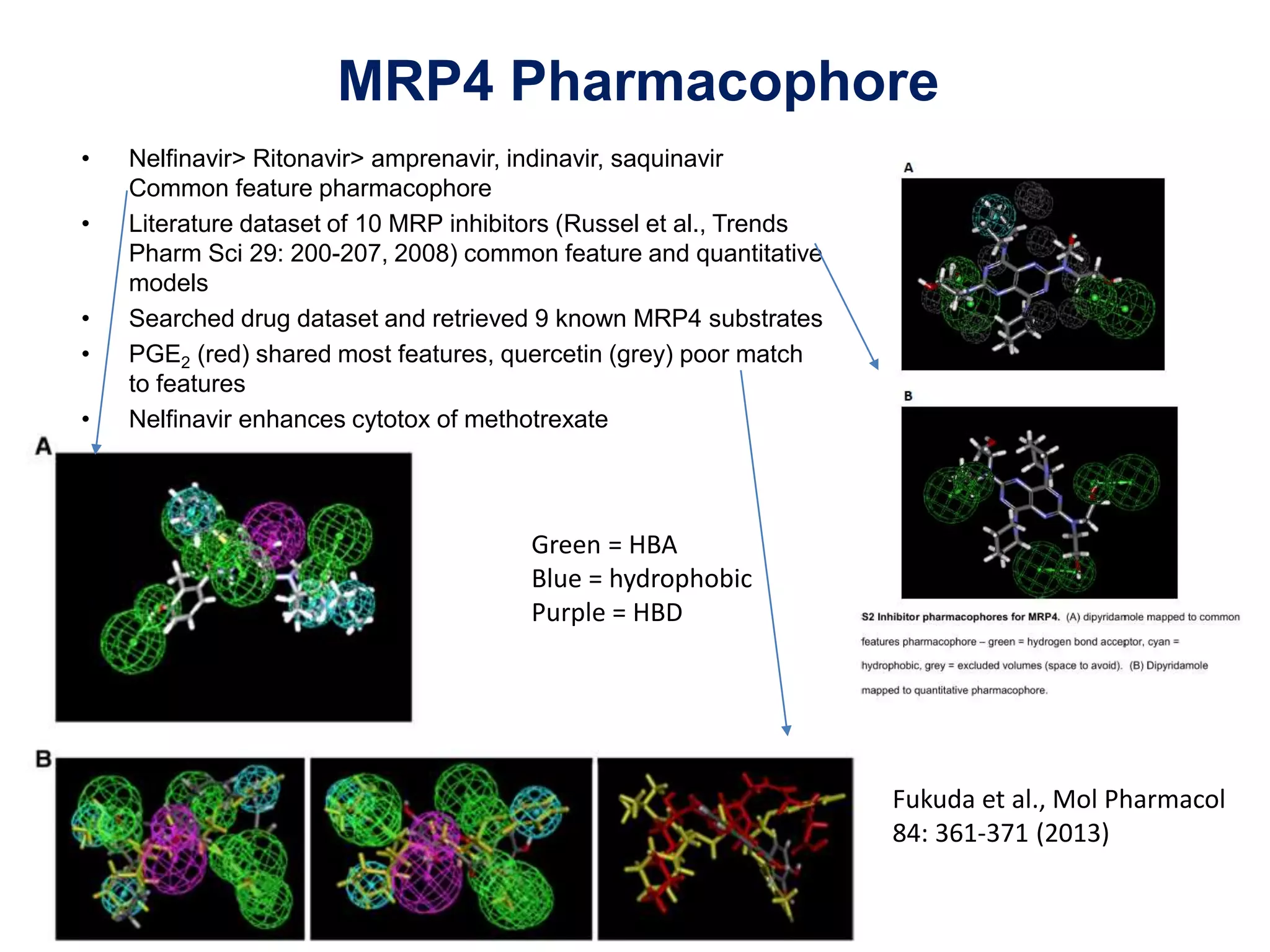 Applying computational models for transporters to predict toxicity | PPT | Free Download
