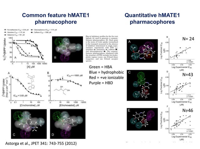 Applying Computational Models For Transporters To Predict Toxicity