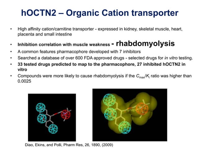 Applying Computational Models For Transporters To Predict Toxicity