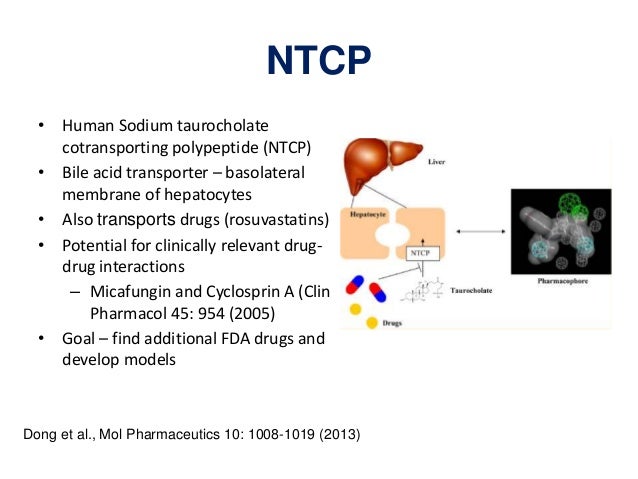 Applying computational models for transporters to predict toxicity