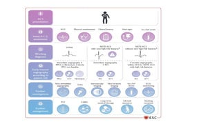 dr.Personaldi, ESC guideline ACS esc Naldi.pptx