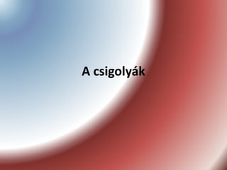 A csigolyák.pdf