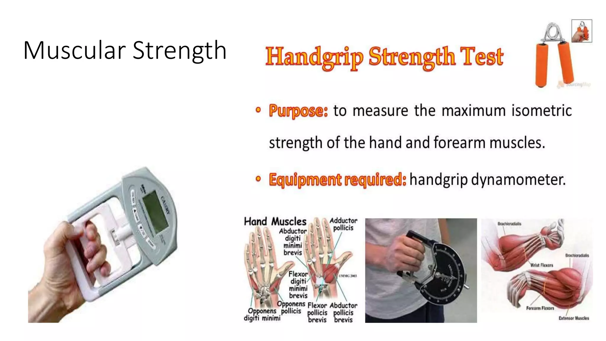 ACSM health related physical fitness test | PPTX