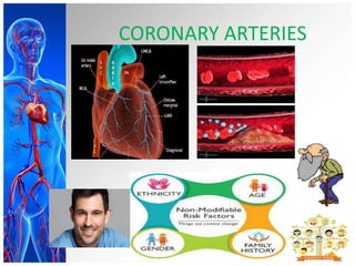 Acute Coronary Syndrome | PPT