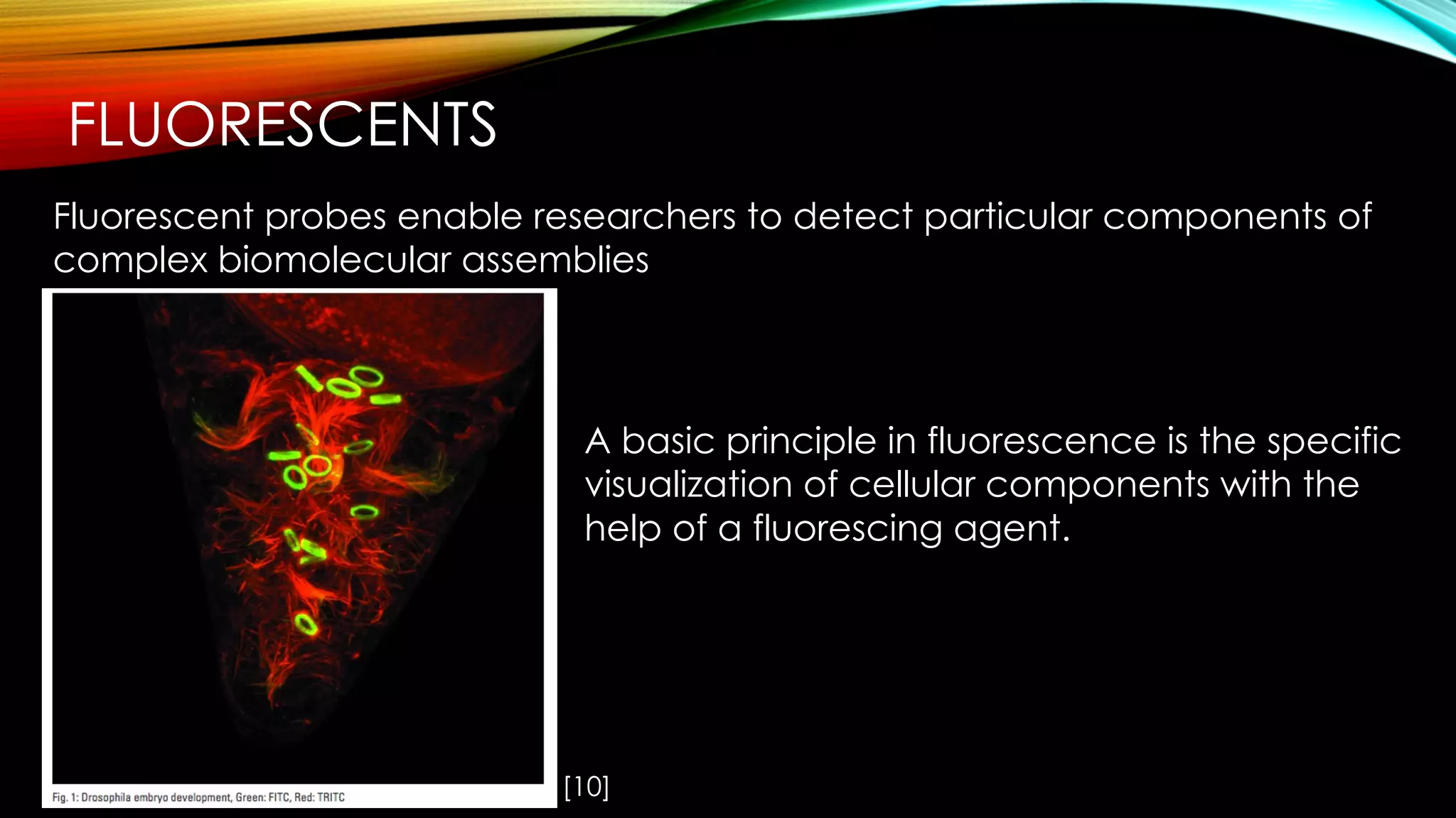 Imaging Flow Cytometry | PDF