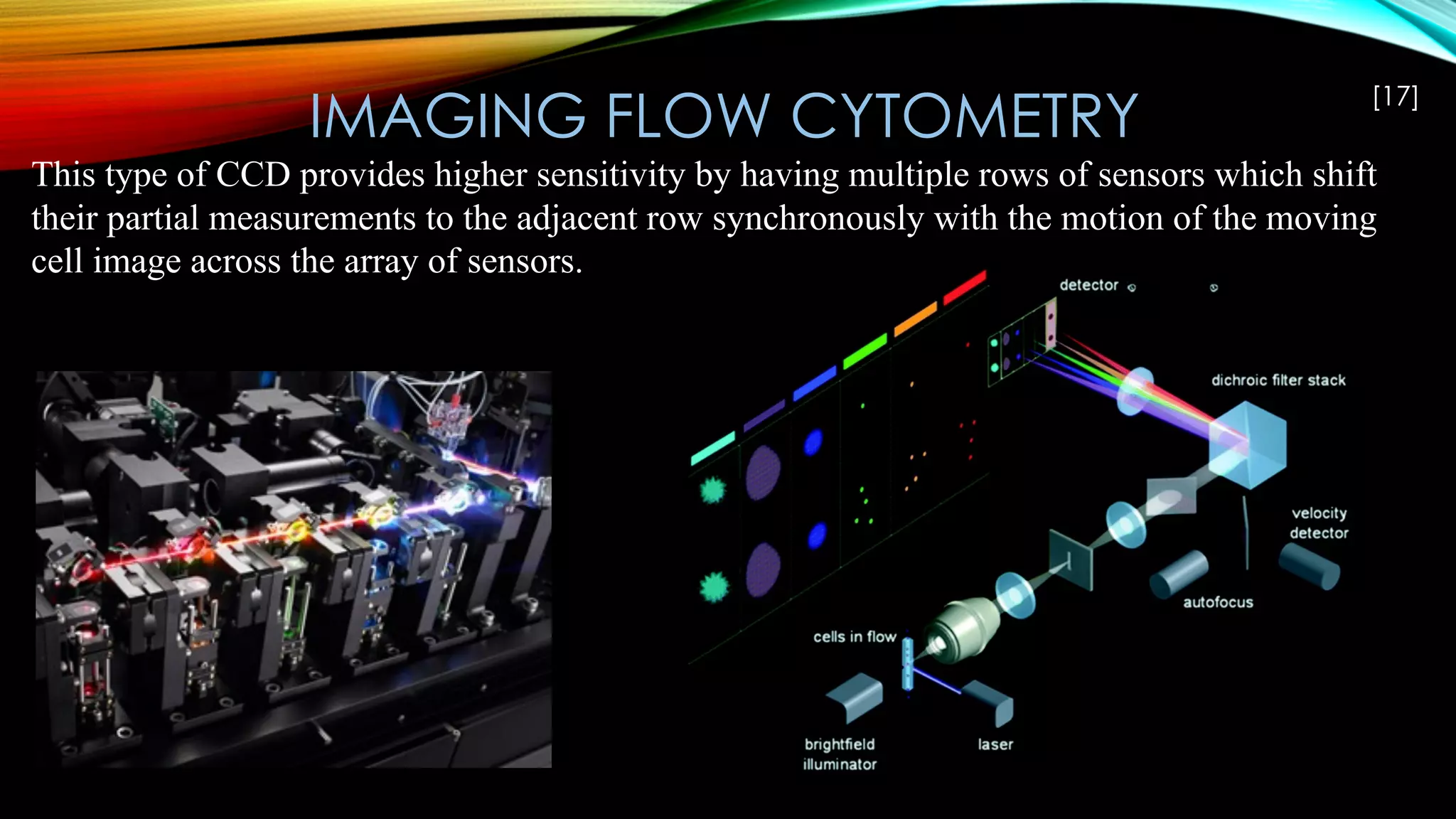 Imaging Flow Cytometry | PDF