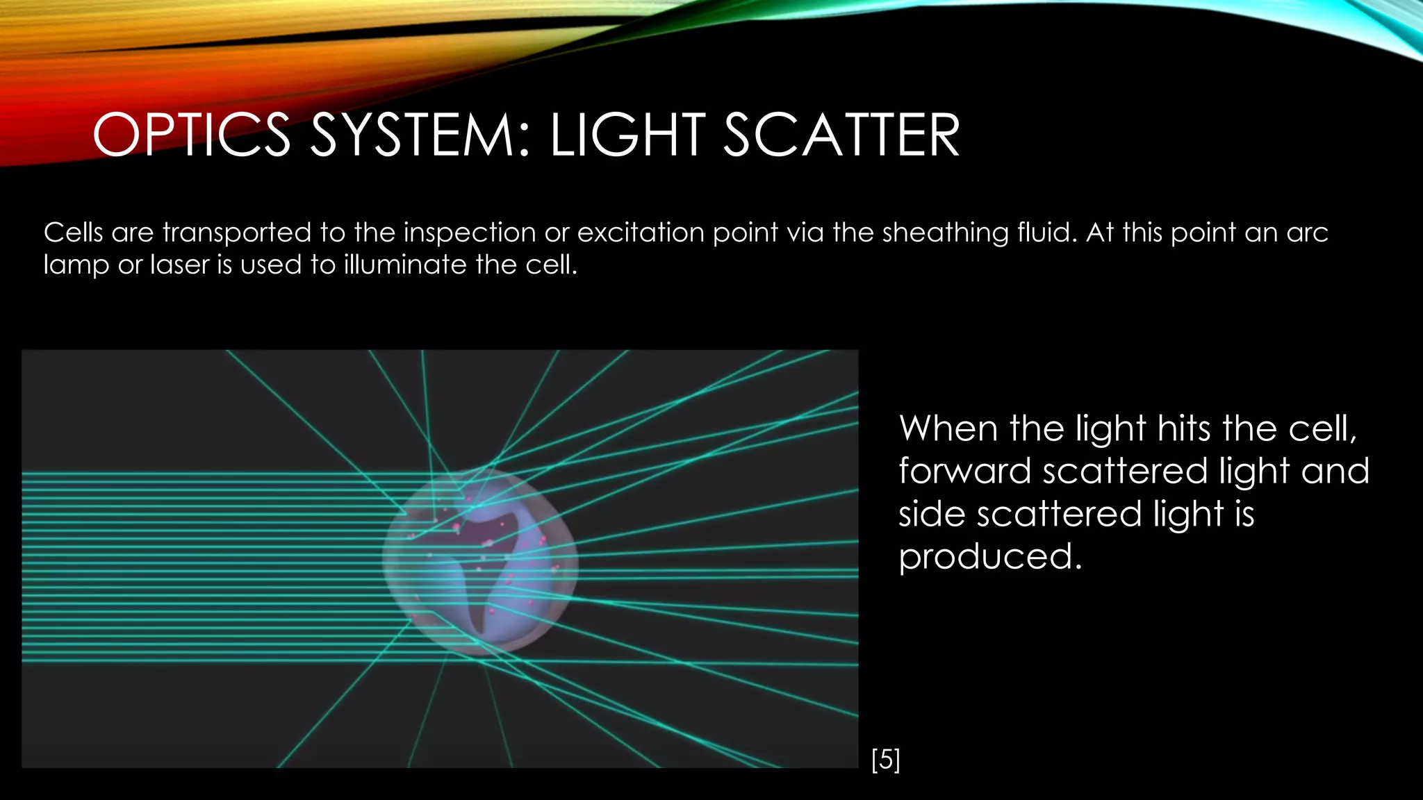 Imaging Flow Cytometry | PDF