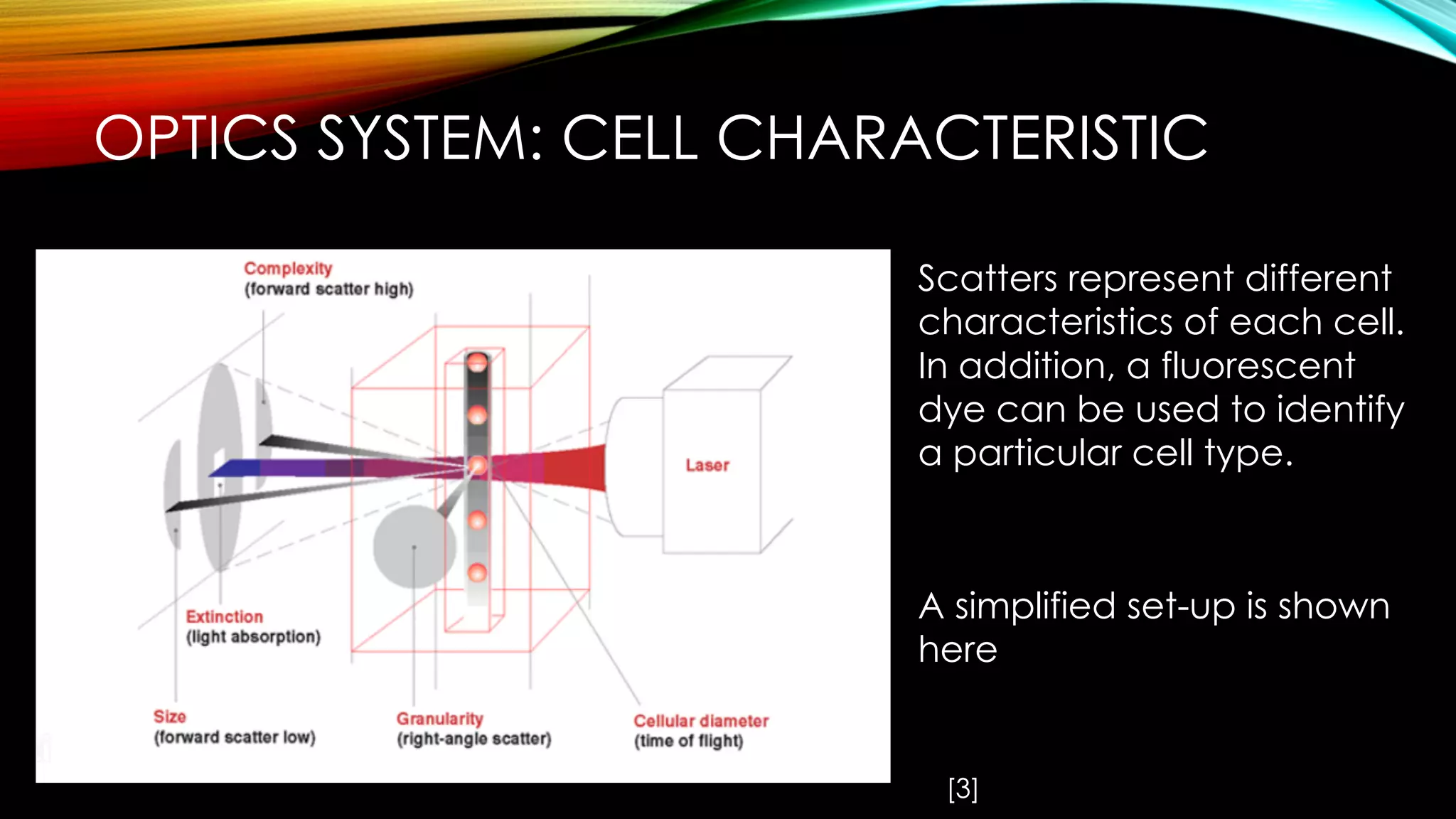 Imaging Flow Cytometry | PDF