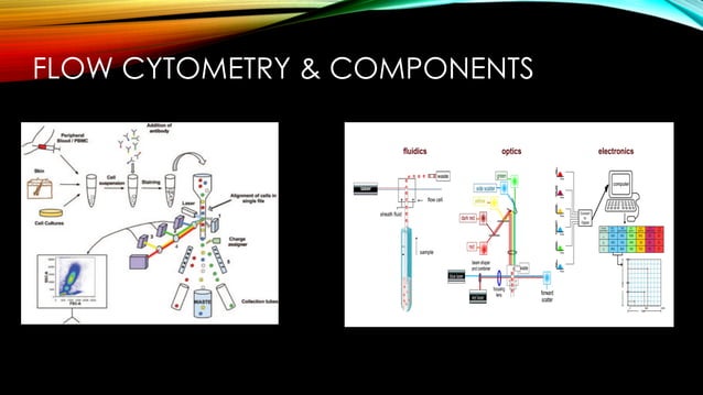 Imaging Flow Cytometry | PDF | Biological Sciences | Science