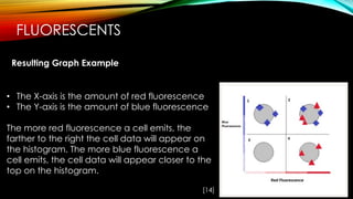 Imaging Flow Cytometry | PDF