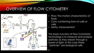 Imaging Flow Cytometry | PDF