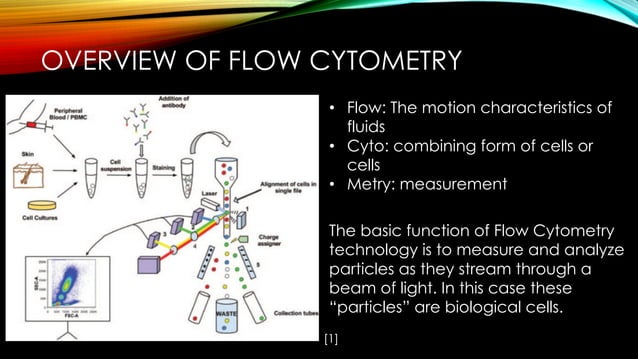 Imaging Flow Cytometry | PDF | Biological Sciences | Science