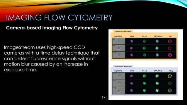 Imaging Flow Cytometry | PDF | Biological Sciences | Science