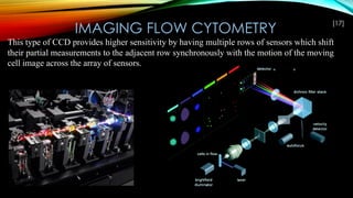 Imaging Flow Cytometry | PDF