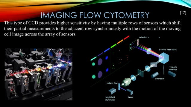 Imaging Flow Cytometry | PDF | Biological Sciences | Science