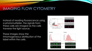 Imaging Flow Cytometry | PDF
