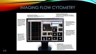 Imaging Flow Cytometry | PDF