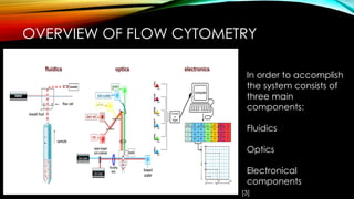 Imaging Flow Cytometry | PDF
