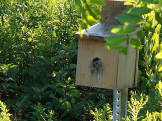 ACSP Certification | PPT