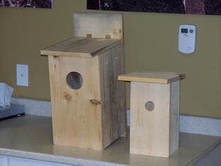 ACSP Certification | PPT