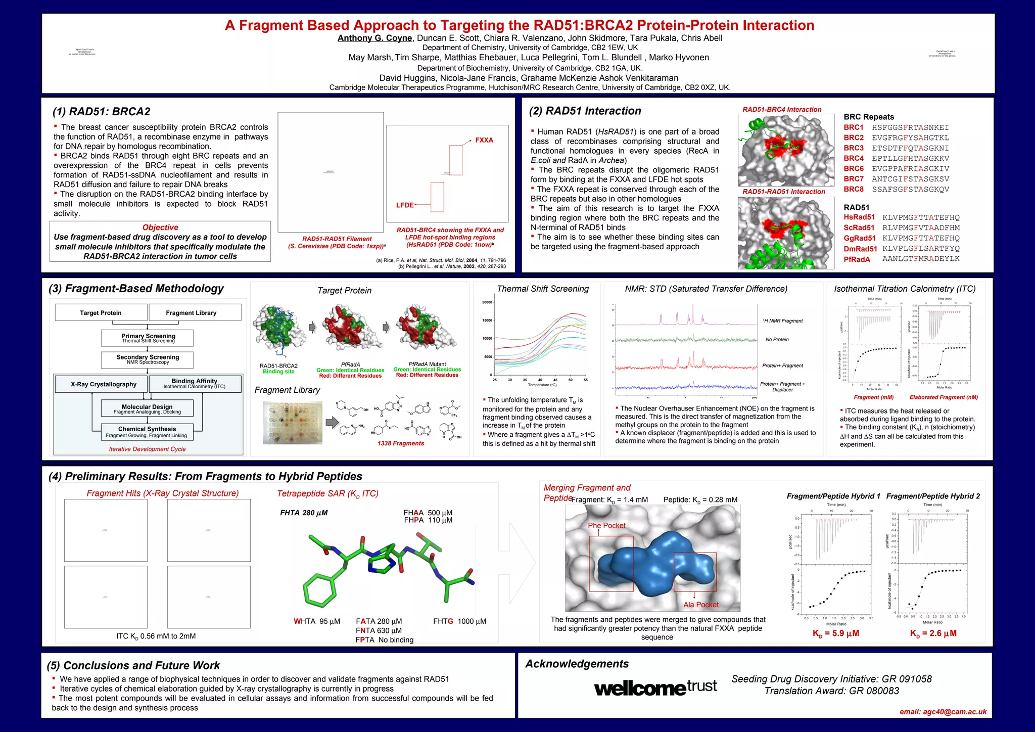 RAD51 Drug Discovery (ACS Denver 2011) | PPT