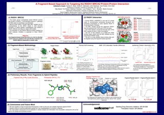 RAD51 Drug Discovery (ACS Denver 2011) | PPT | Chemistry | Science