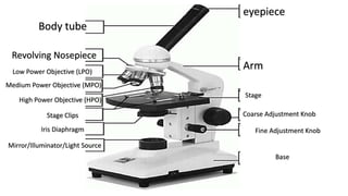 Act. 2 Parts & Funsctions of Microscope.pptx