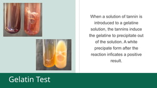 Phytochemical Screening ACT-7-TANNINS.pptx