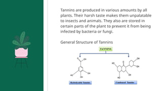 Phytochemical Screening ACT-7-TANNINS.pptx