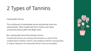 Phytochemical Screening ACT-7-TANNINS.pptx
