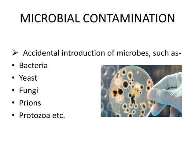 Microbial contamination and detection | PPTX