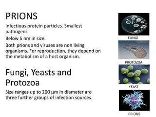Microbial contamination and detection | PPTX