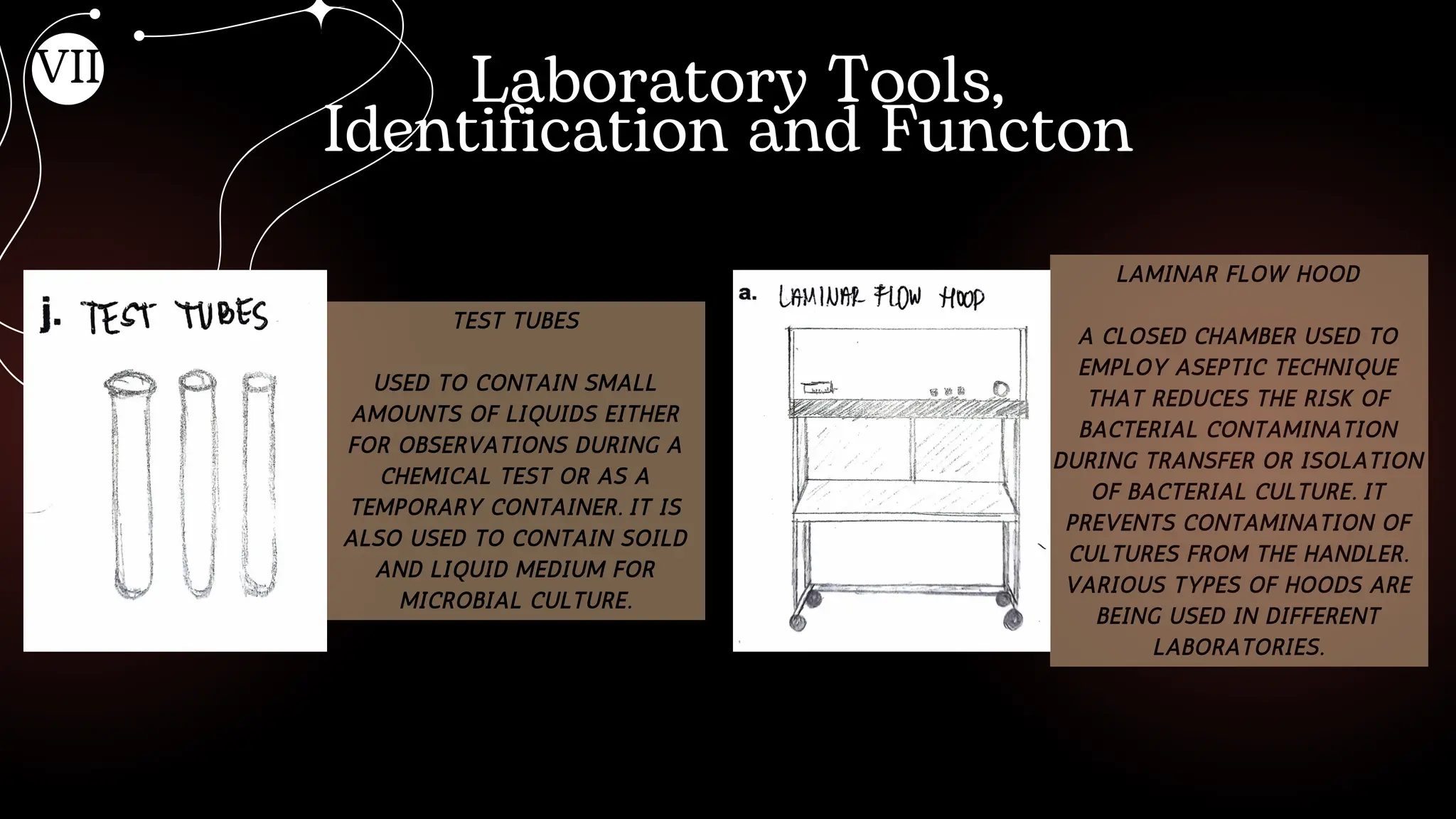 Basic Tools in Microbiology (Microscopy) | PDF
