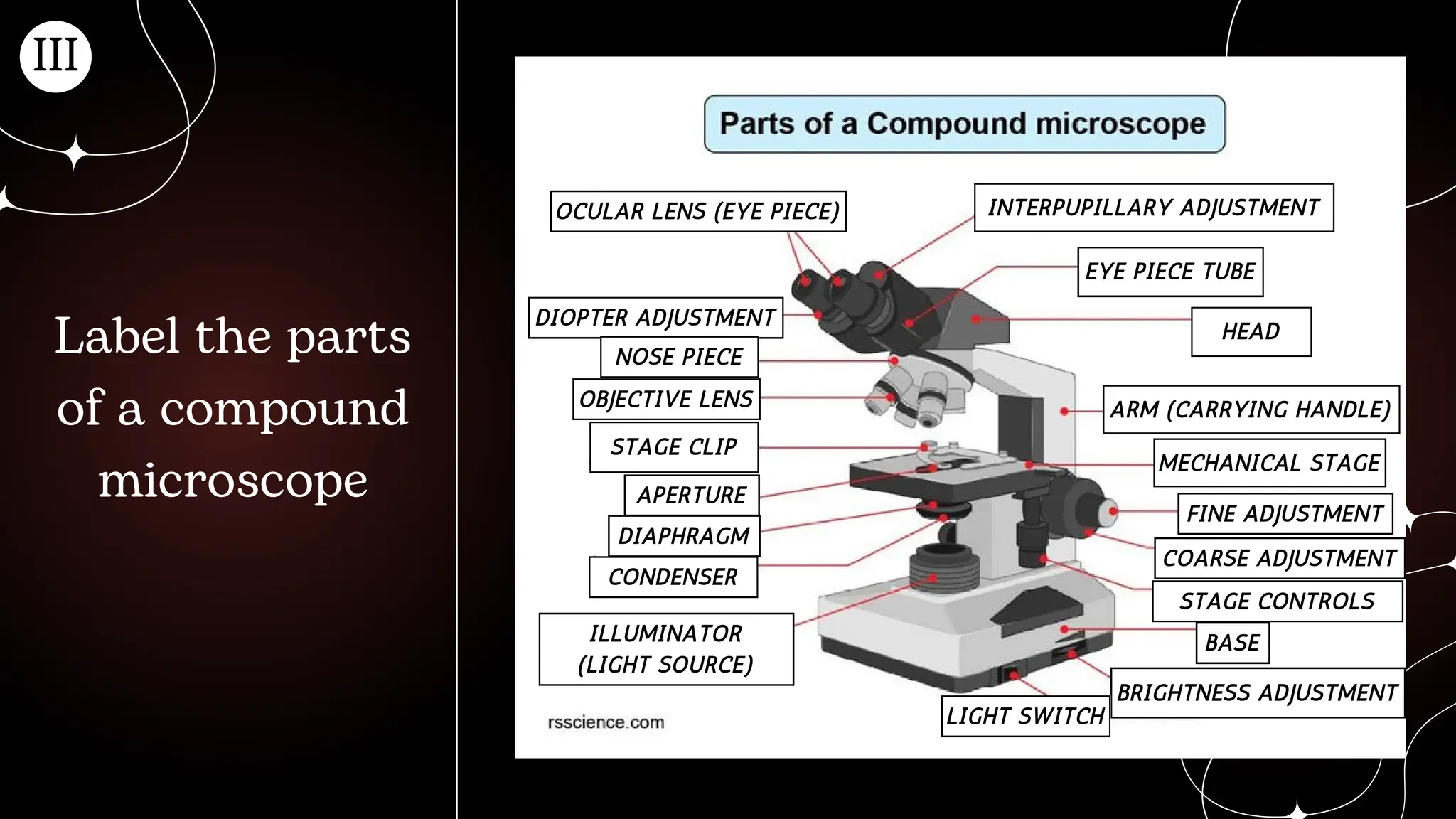 Basic Tools in Microbiology (Microscopy) | PDF