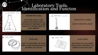 Basic Tools in Microbiology (Microscopy) | PPT