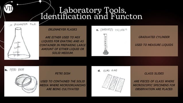 Basic Tools in Microbiology (Microscopy) | PPT