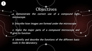 Basic Tools in Microbiology (Microscopy) | PPT