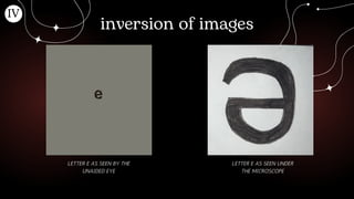 Basic Tools in Microbiology (Microscopy) | PPT