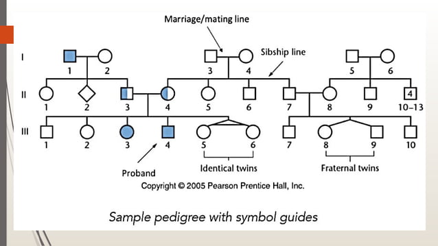 Activity 1 Pedigree Analysis Exercises.pptx