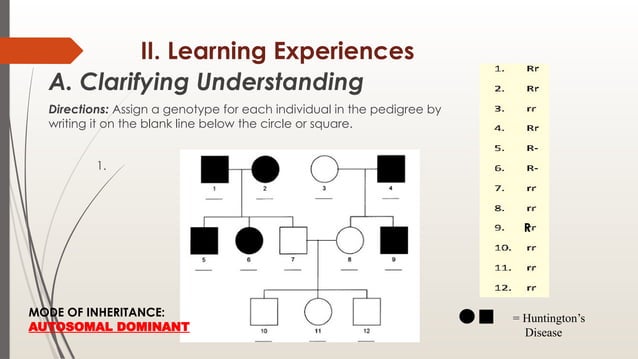Activity 1 Pedigree Analysis Exercises.pptx