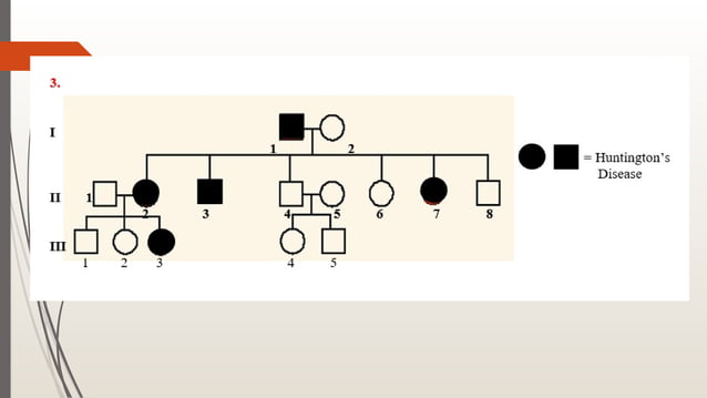 Activity 1 Pedigree Analysis Exercises.pptx