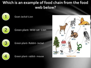 Act2.ppt