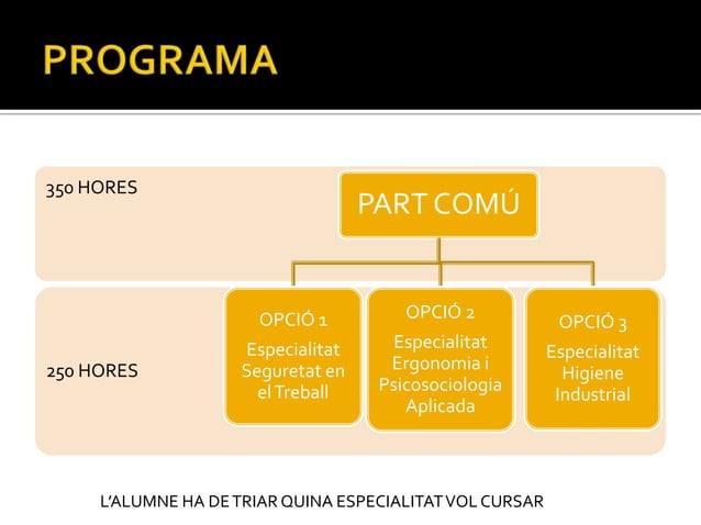 Act2 Alicia Ferrer Murillo | PPSX