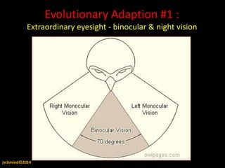 Owl adaptations & Food Webs present | PPTX
